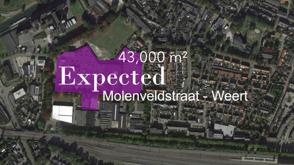 Next Level | Projects